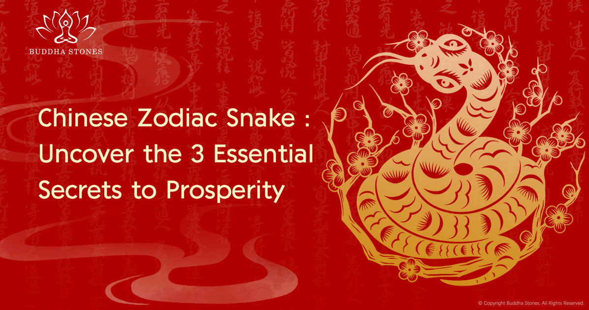 Chinese zodiac for snake 60 photos - Youhoroscope.com
