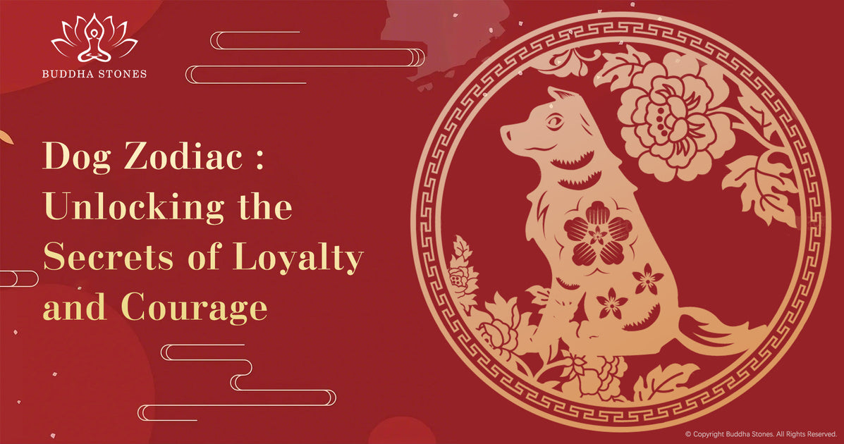 What is the dog in chinese zodiac 60 photos - Youhoroscope.com